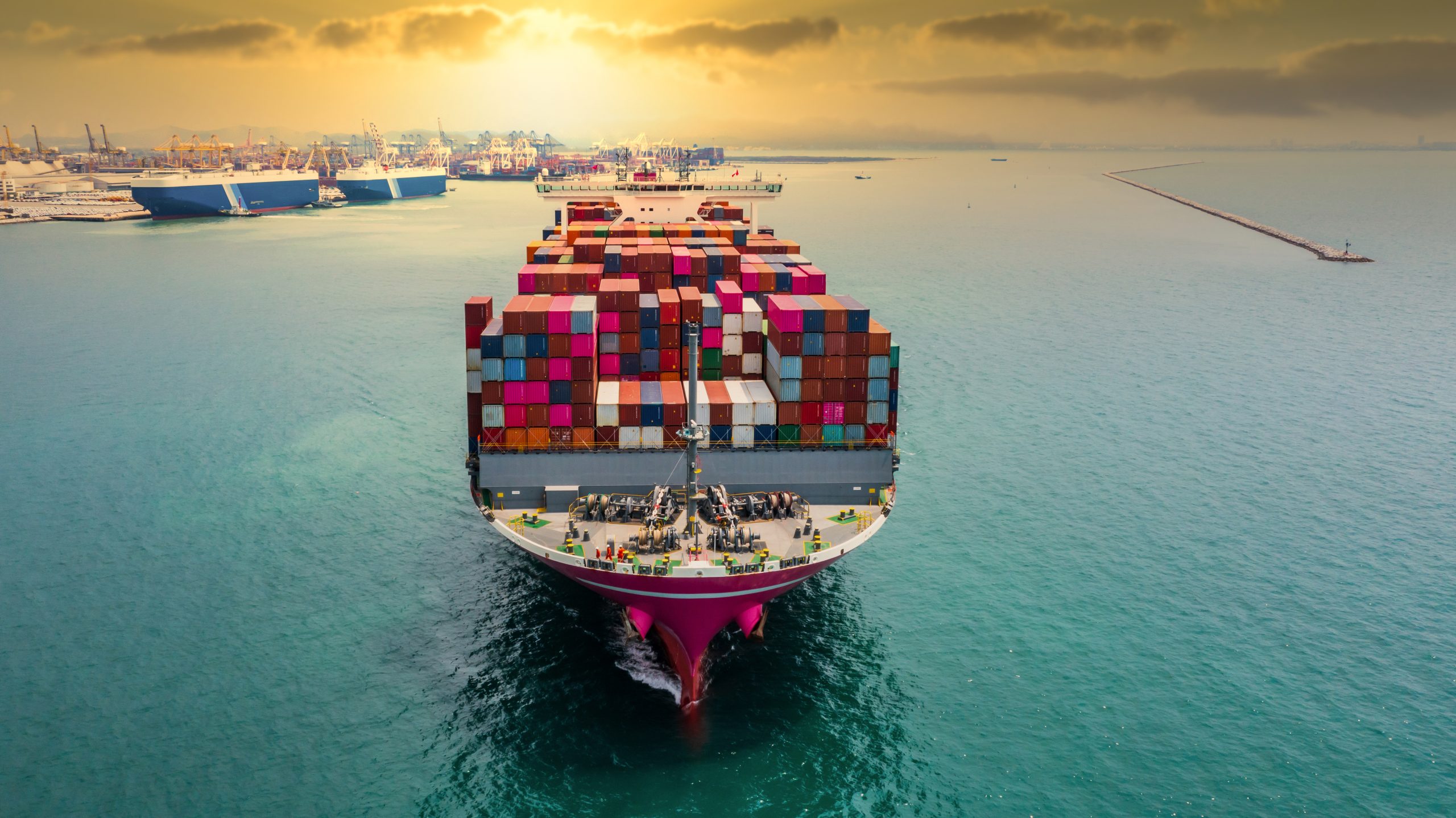 OCEAN FREIGHT - Ibex